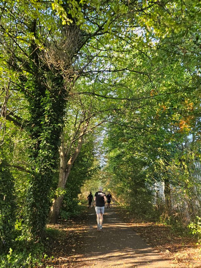 Isabel Trail parkrun Review: Route, Challenges, and Tips