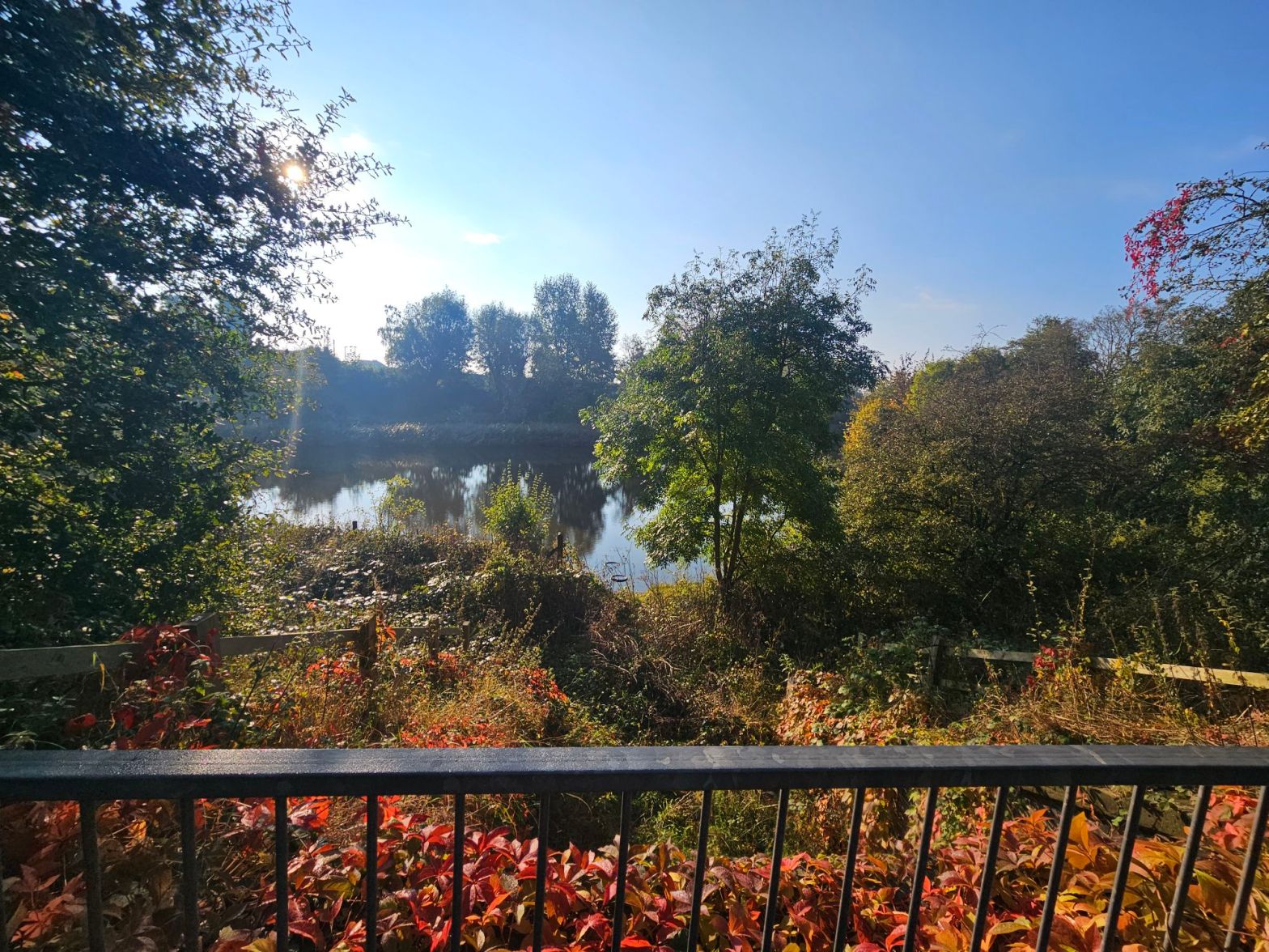 Isabel Trail parkrun Review: Route, Challenges, and Tips