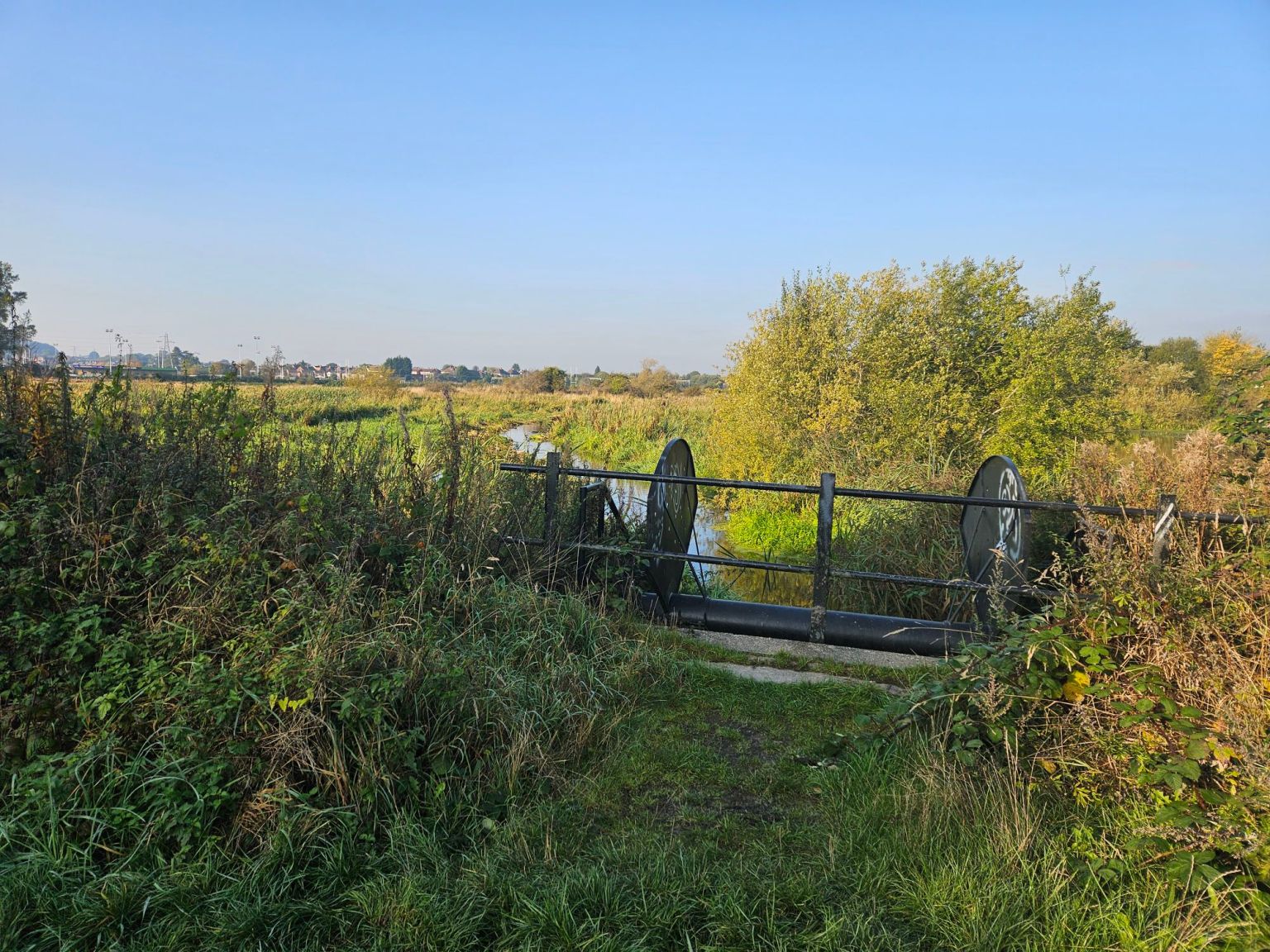 Isabel Trail parkrun Review: Route, Challenges, and Tips